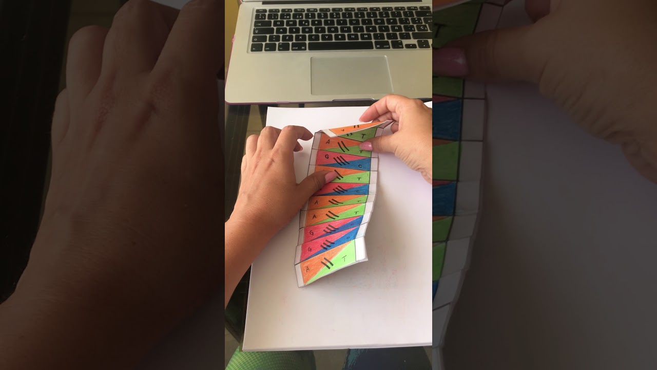 Origami ADN - YouTube