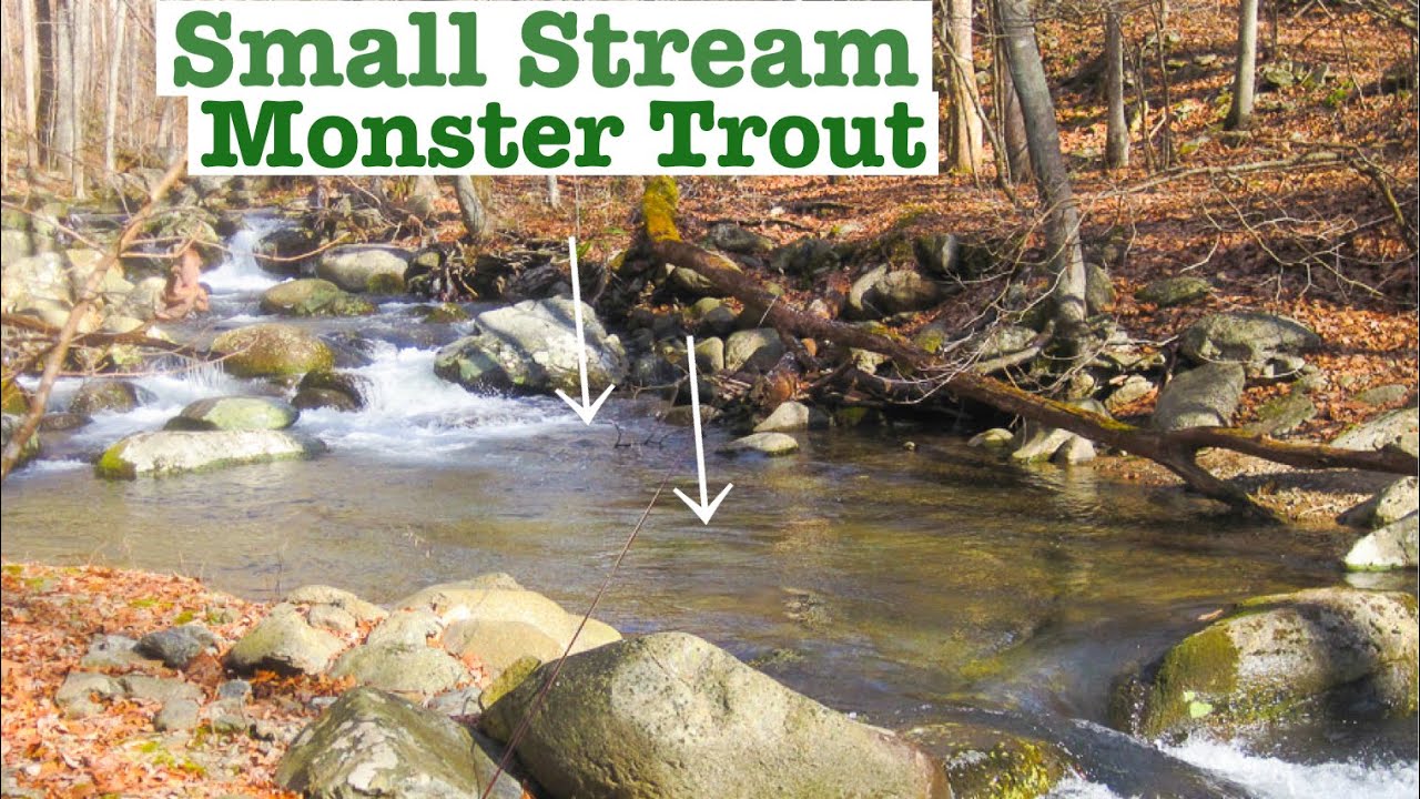 Catching MONSTER TROUT in SMALL Streams (Trout Fishing HEAVEN) - YouTube
