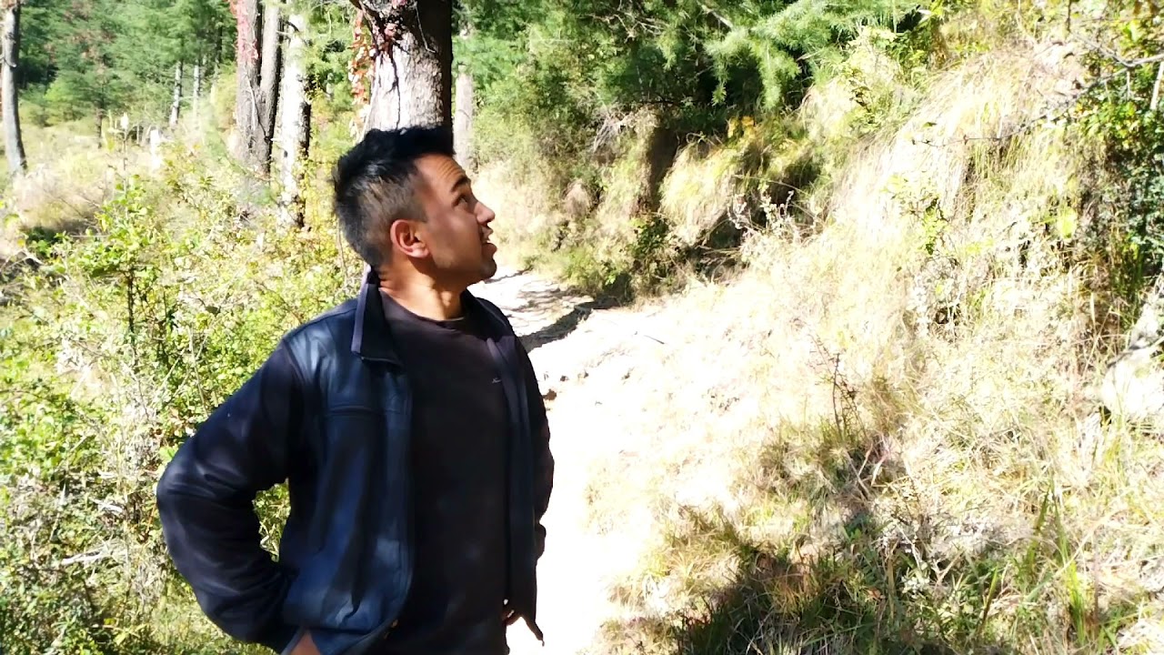 jugnu styl climbing tree - YouTube