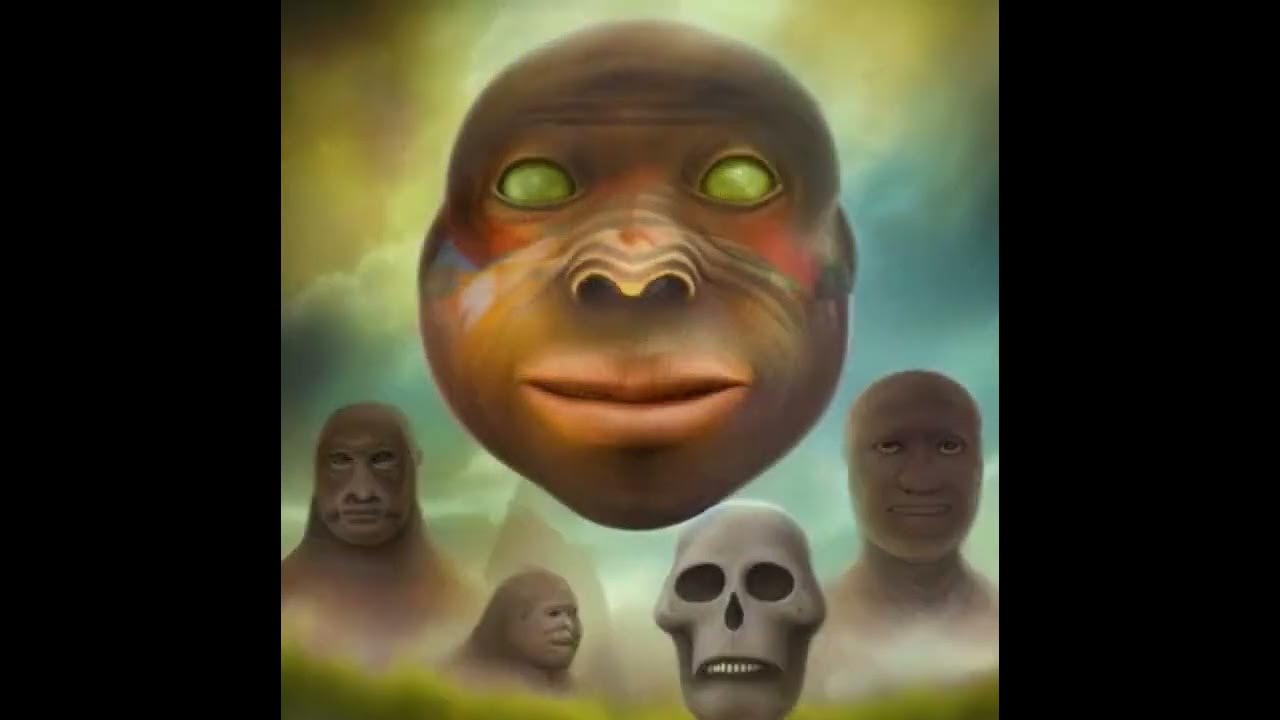 Interesting Human Humanevolution Youtube