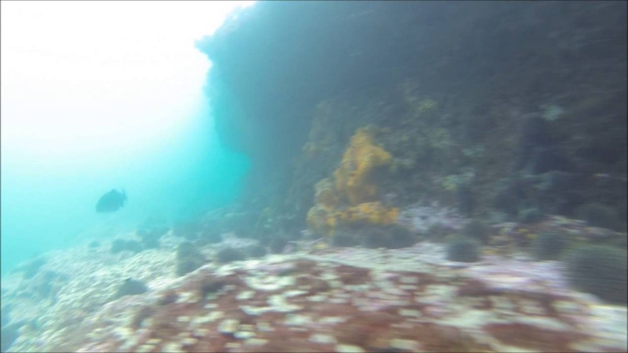 Diving at the Rurima islands - YouTube