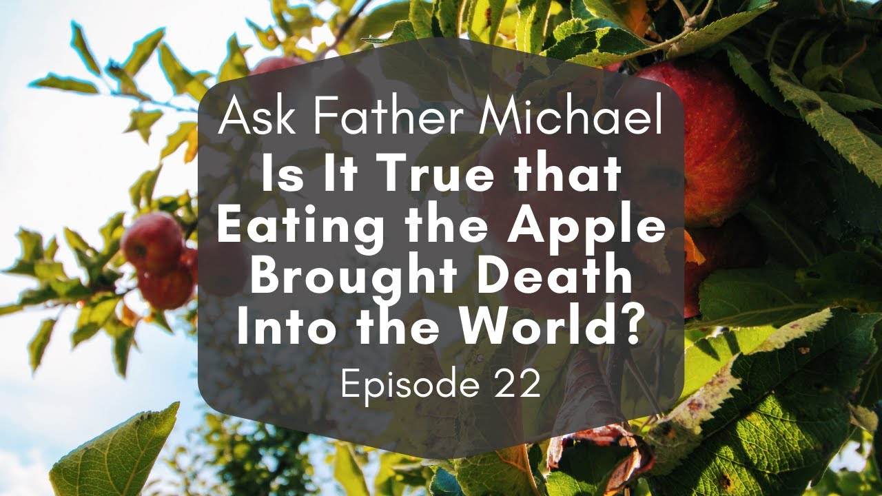 Is It True That Eating the Apple Brought Death Into the World? - YouTube