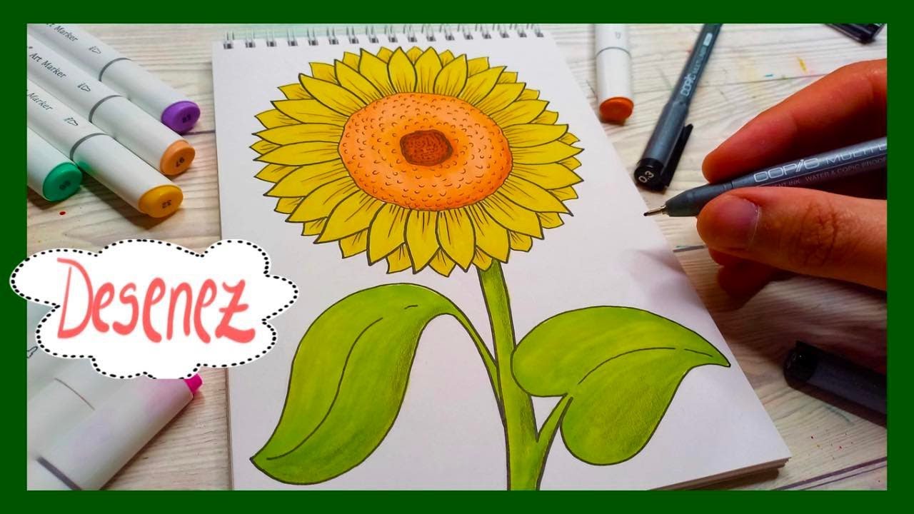 🌻Desenez si Colorez FLOAREA SOARELUI 🌻Usor pentru Incepatori | Cum se ...