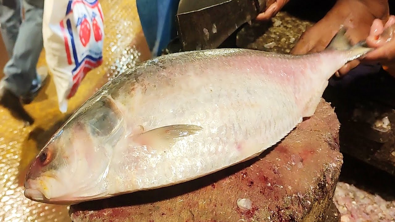 Amazing Delicious Hilsa Fish cutting In Fish Market - YouTube