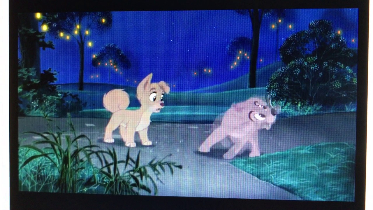 Lady and the Tramp 2: Scamp's Adventure - "I Didn't Know That I Could ...