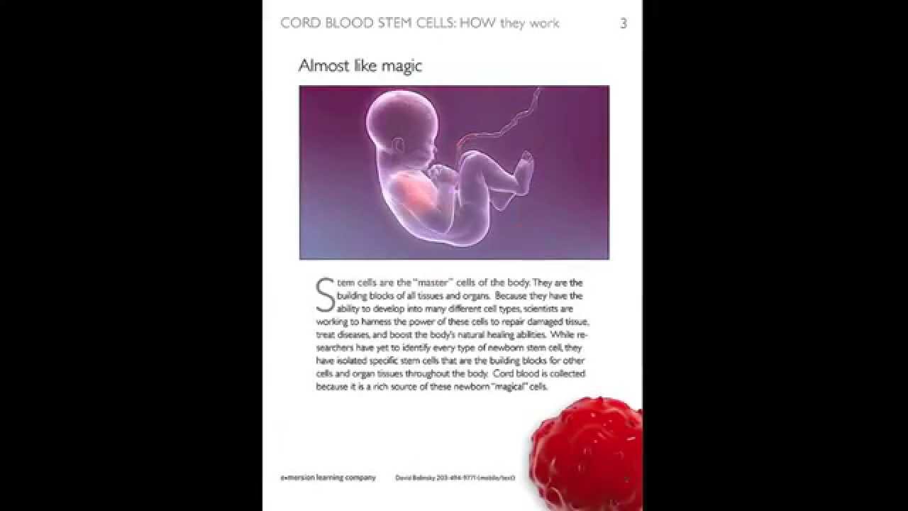 Stemlife baby cord blood stem cells 3 - YouTube