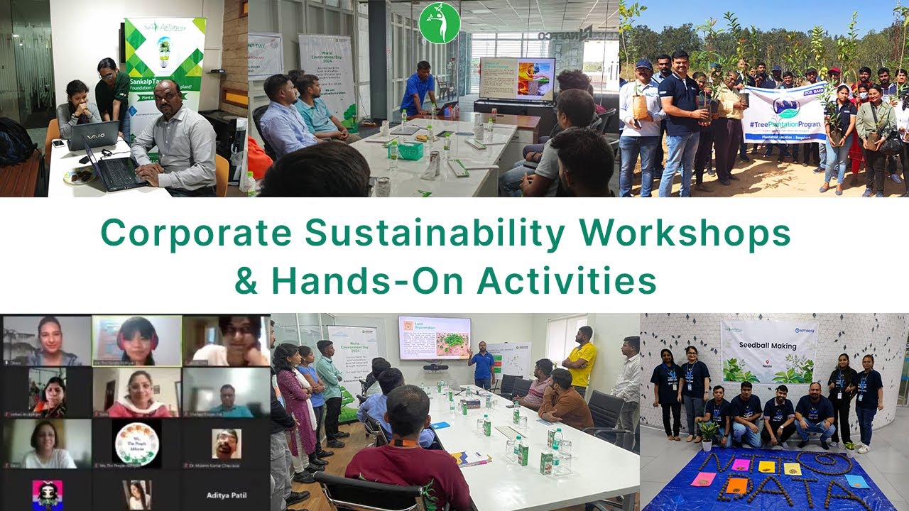 Corporate Sustainability Workshops & Hands-On Activities - YouTube