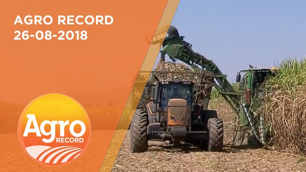 YOUTUBE AGRO - 26-08-2018 - YouTube