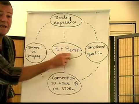 Children Focusing Felt Sense with René Veugelers - YouTube