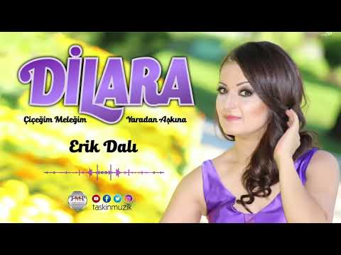 Dilara  / Erik Dalı