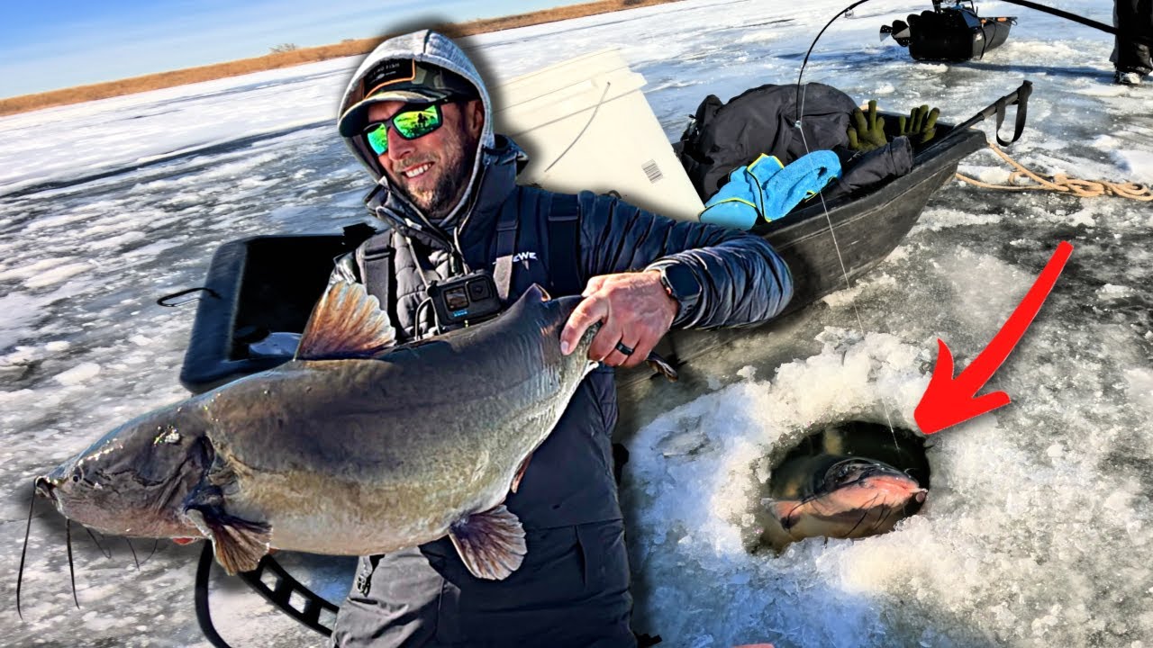 Livescoping MONSTER Channel Catfish Through the Ice!! - YouTube