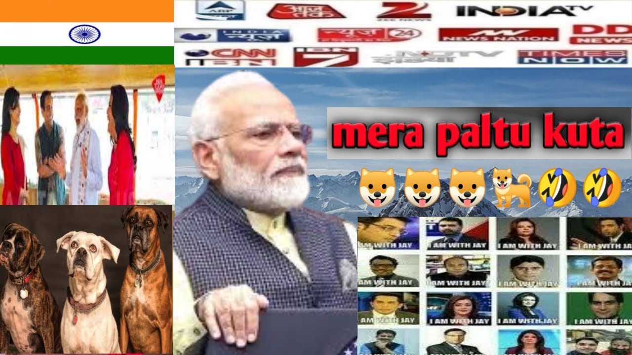 Godi media mera paltu kuta 🐕 hai | funny debates | Narendra Modi | godi ...