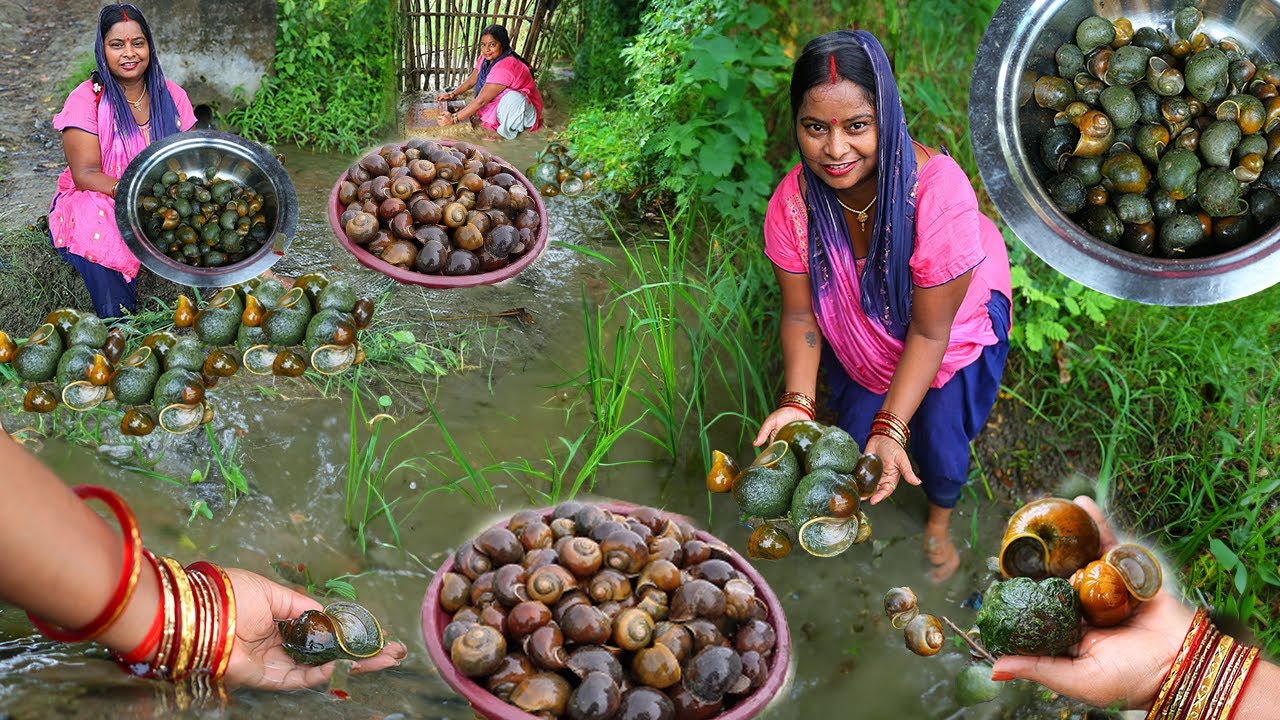 Snail Cooking & Eating Healthy Snail | Cooking Indian Snails in Village ...