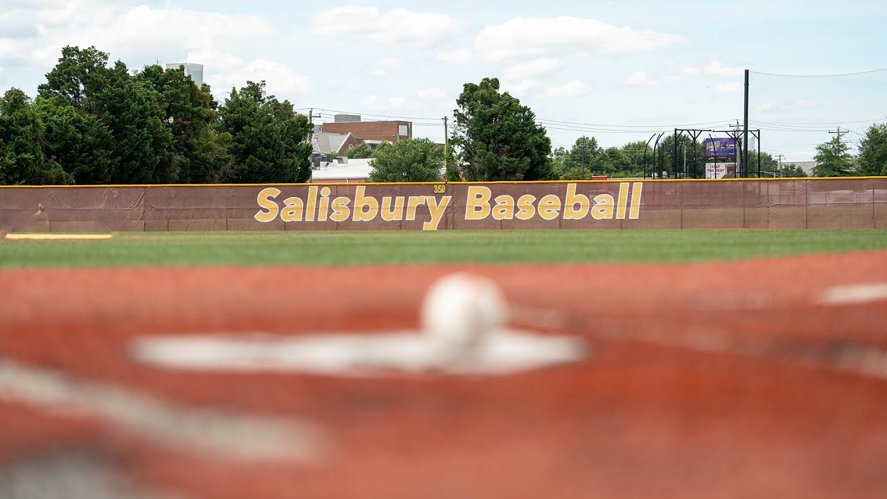 Donnie Williams Sea Gull Baseball Stadium - YouTube