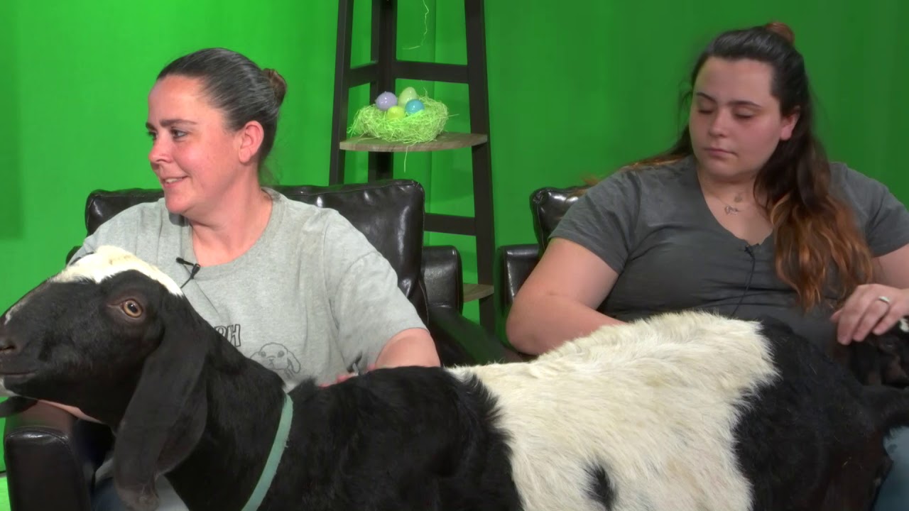 "Fur, Fins and Feathers" Episode 18 - YouTube