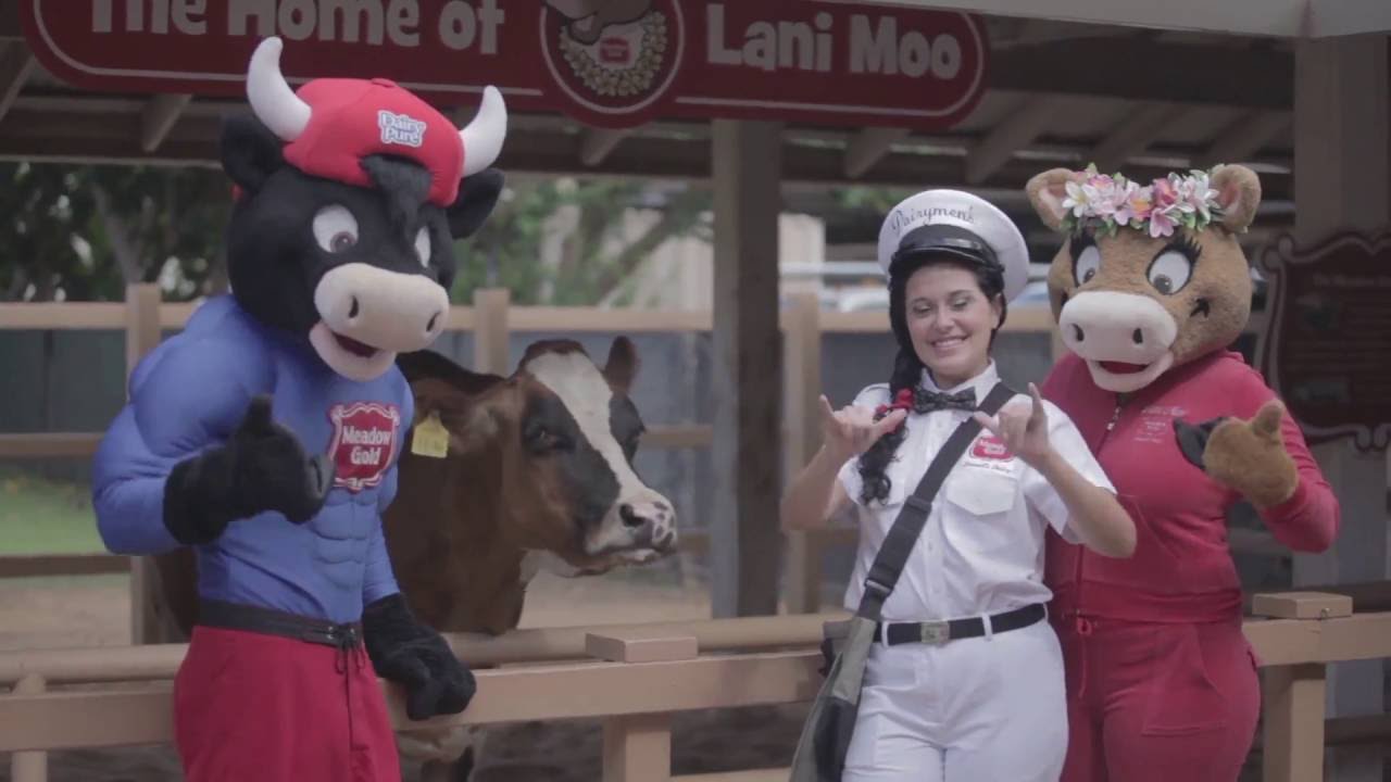 Meadow Gold - Lani Moo at The Zoo Highlights - YouTube