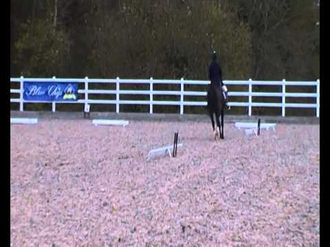 Ellie Solihull combined training Prelim 13 - YouTube