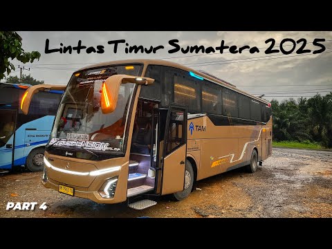 Telusur Lintas Timur Jambi - Riau 2025, Seperti Apa Kondisinya? Trip Bus TAM Ke Pekanbaru Pt 4