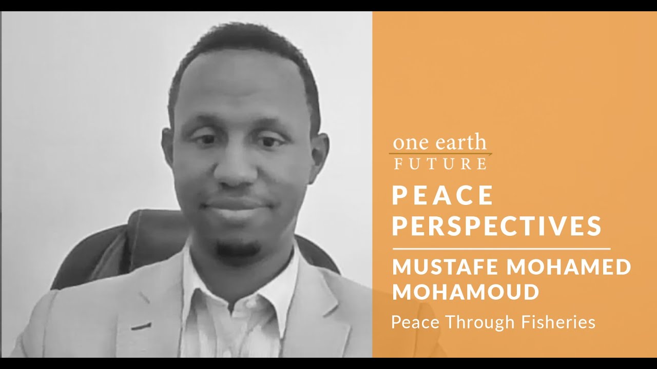Perspectives on Peace: Mustafe Mohamed Mohamoud of Secure Fisheries ...