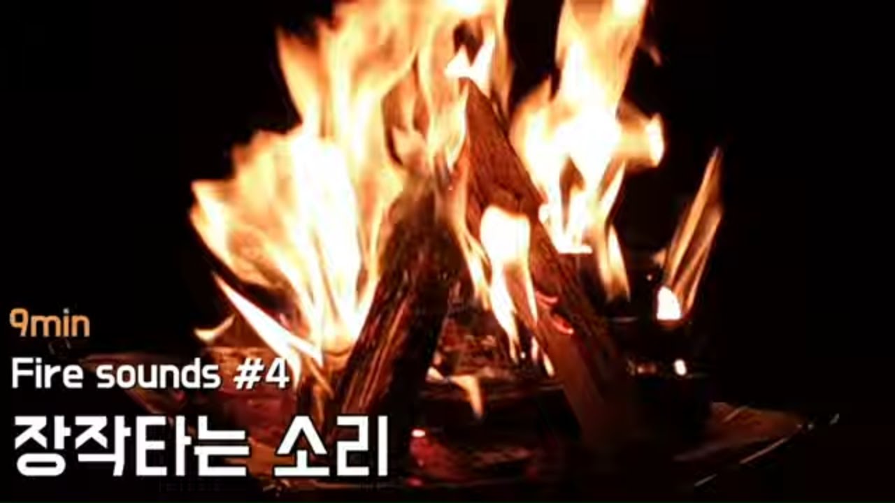 μ₯μμ리π₯ 4 μΊ νμ₯μμ λ£λ μ°Έλ무 νλ μ리 μ₯μμ리 λ€μΌλ©° λΆλ©νκΈ° μ₯μνλ μ리 Asmr μλ©΄ νλ§ κ³΅λΆ λͺ
μ 9λΆ Youtube