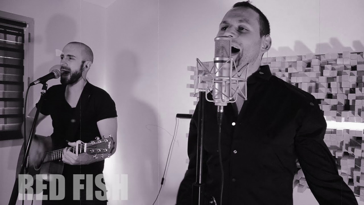 RED FISH Concert Teaser 2017 - YouTube