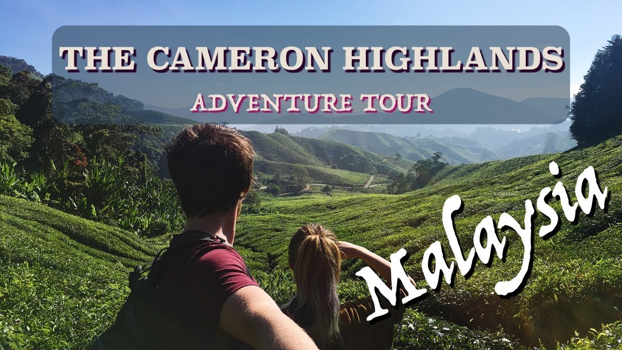 CAMERON HIGHLANDS ADVENTURE TOUR, MALAYSIA - YouTube
