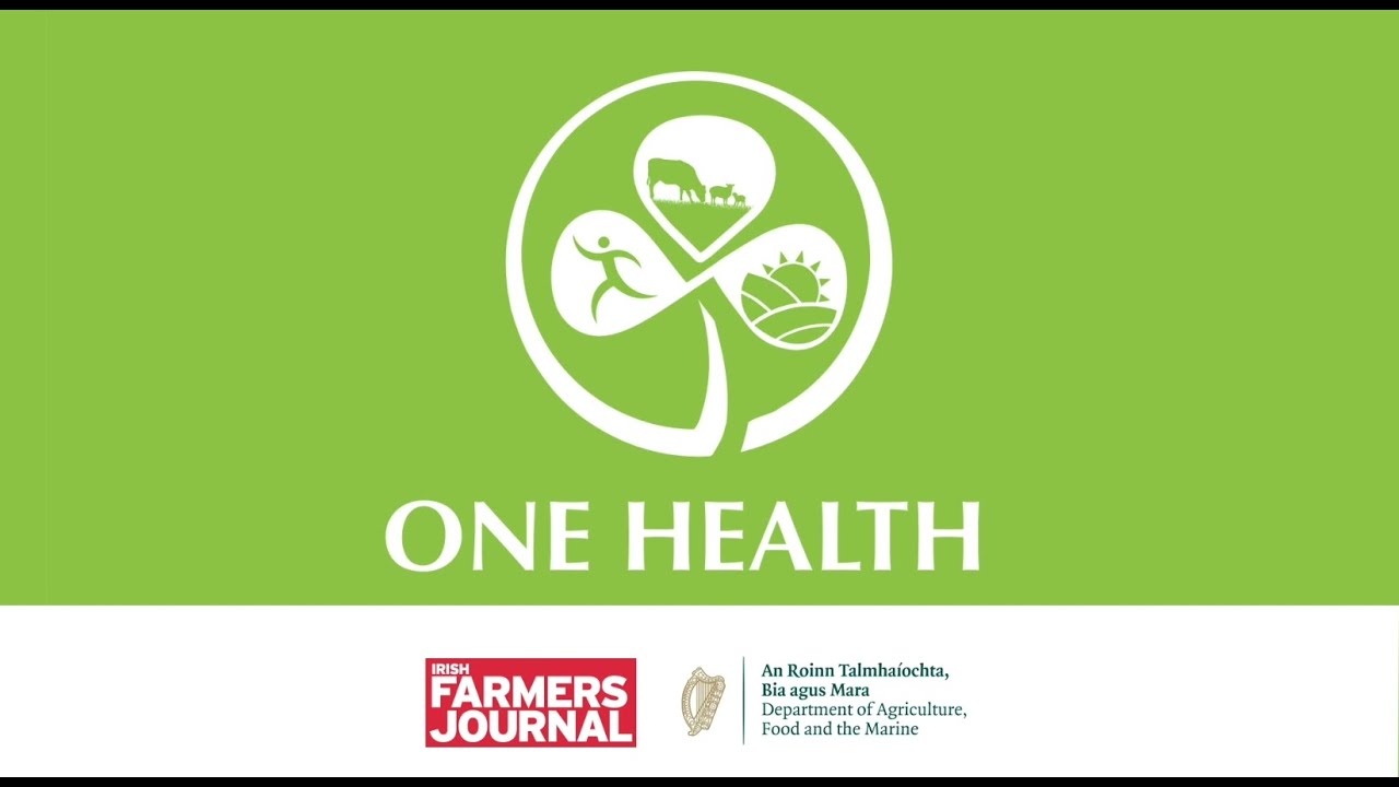 One Health (Part 7) - Antimicrobial Resistance (AMR): The Role of the ...