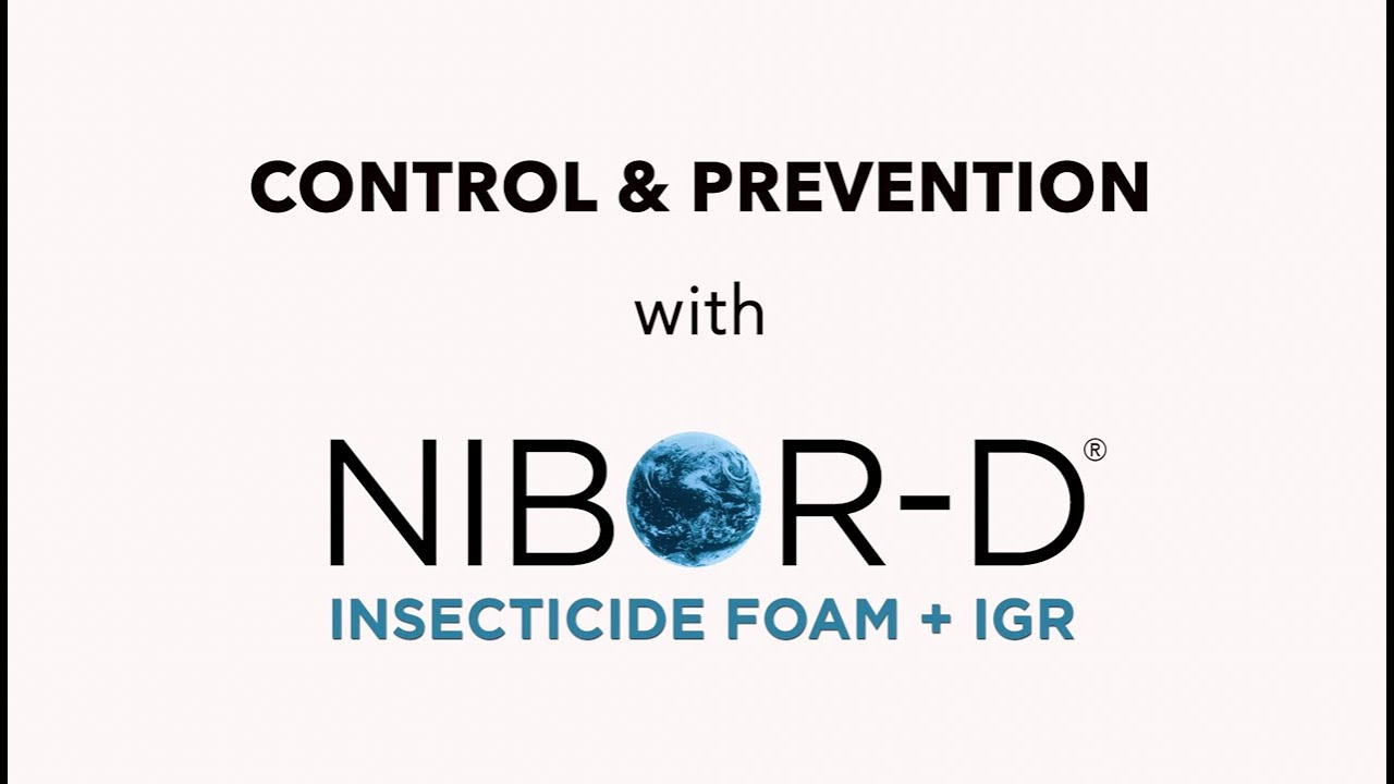 Control and Prevention with Nibor-D + IGR - YouTube