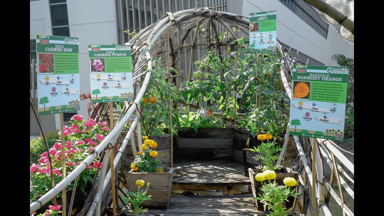 Second Community Harvest at Leeroy New: Mebuyan's Colony - YouTube