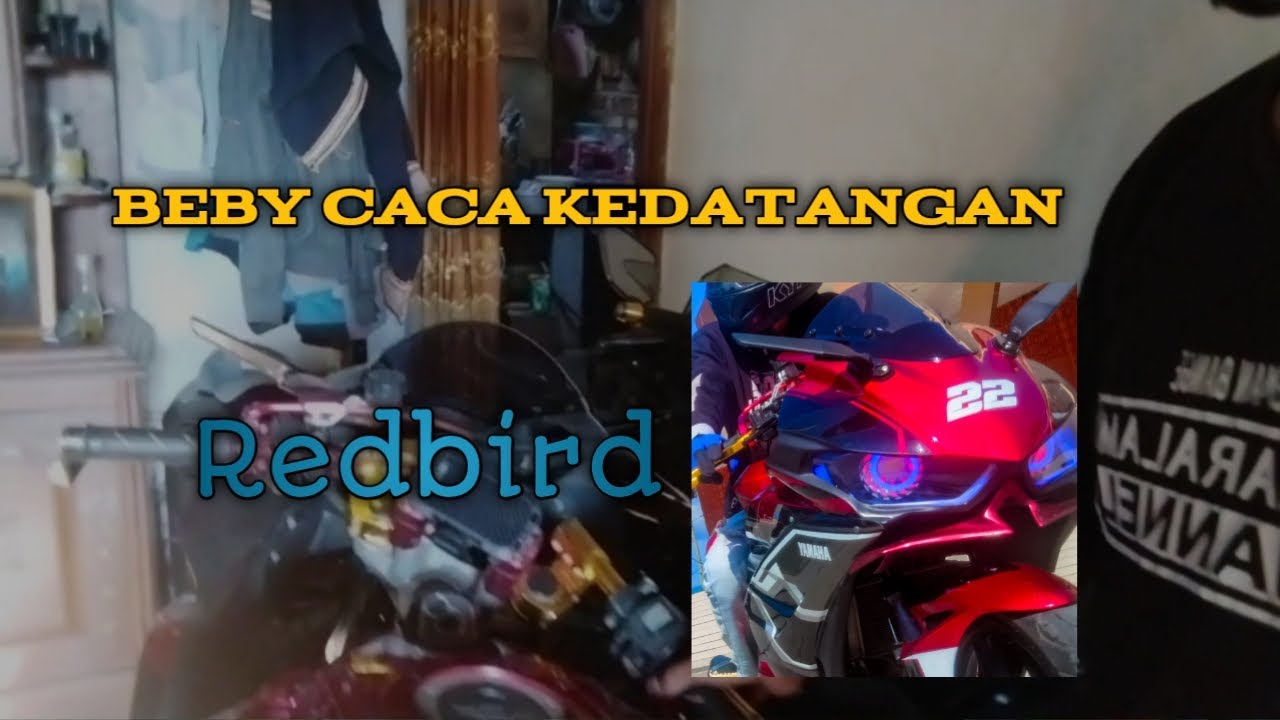 BEBY CACA KEDATANGAN REDBIRD - YouTube