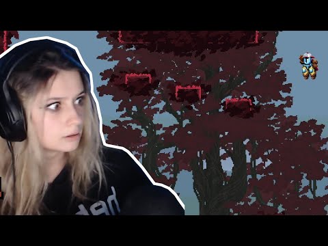 Katerino Plays Jump King, Talks to CallMeCarson, and Watches the ...