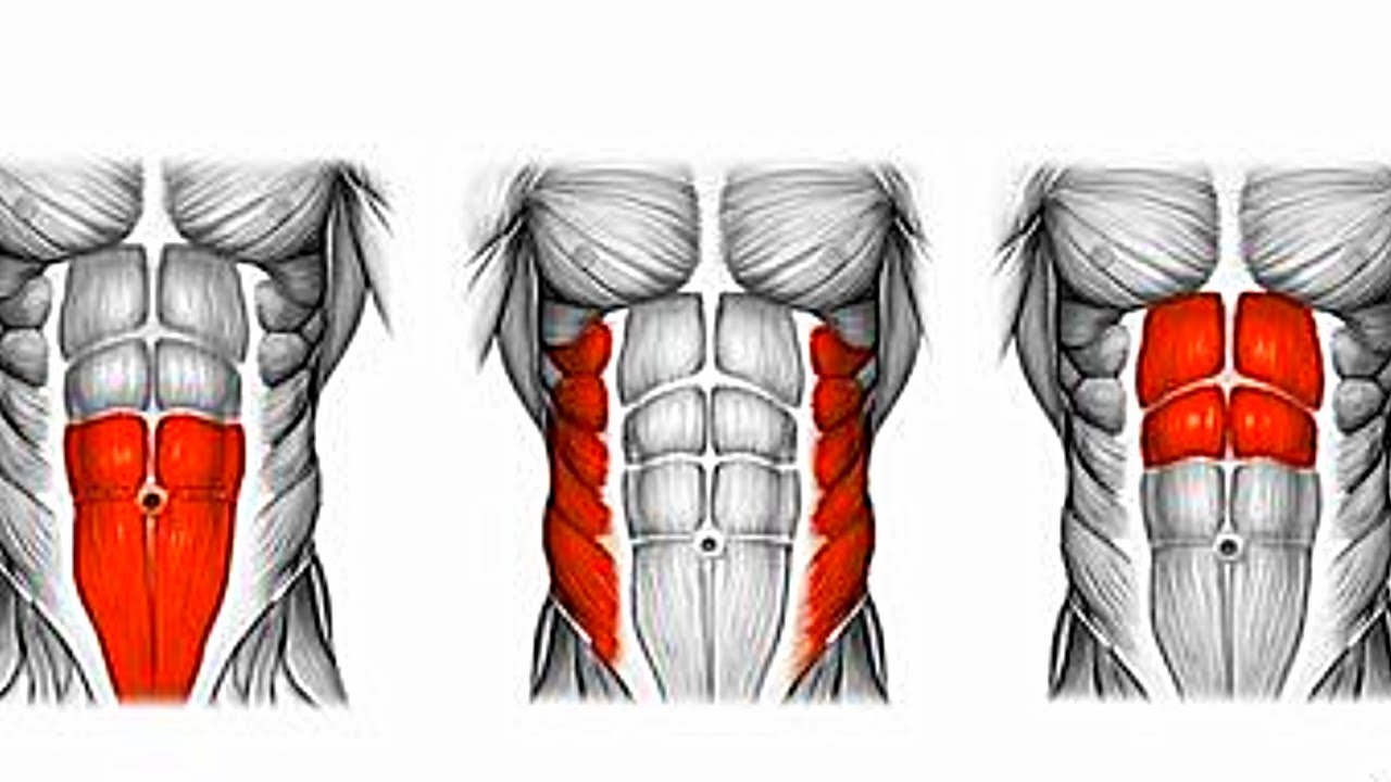 6 Effective Ab Series You Can Do at Home - YouTube