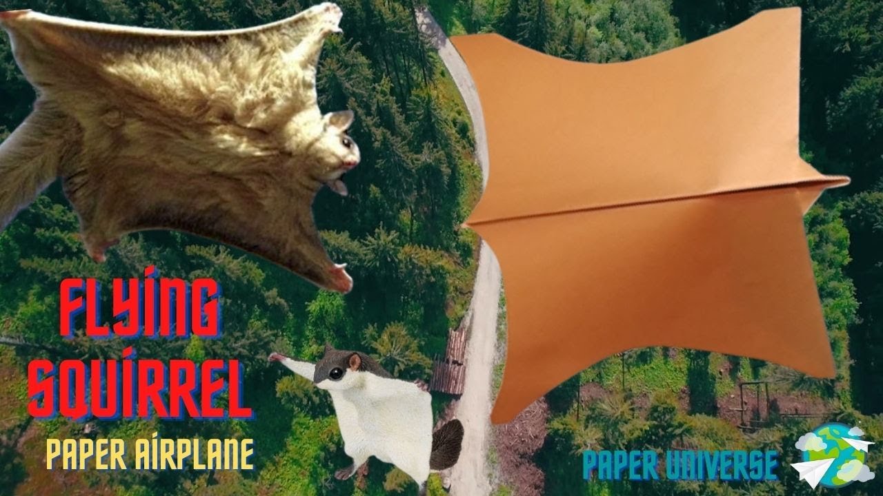 How to Make a Flying squirrel Paper Plane? / How to Fly Your Paper ...
