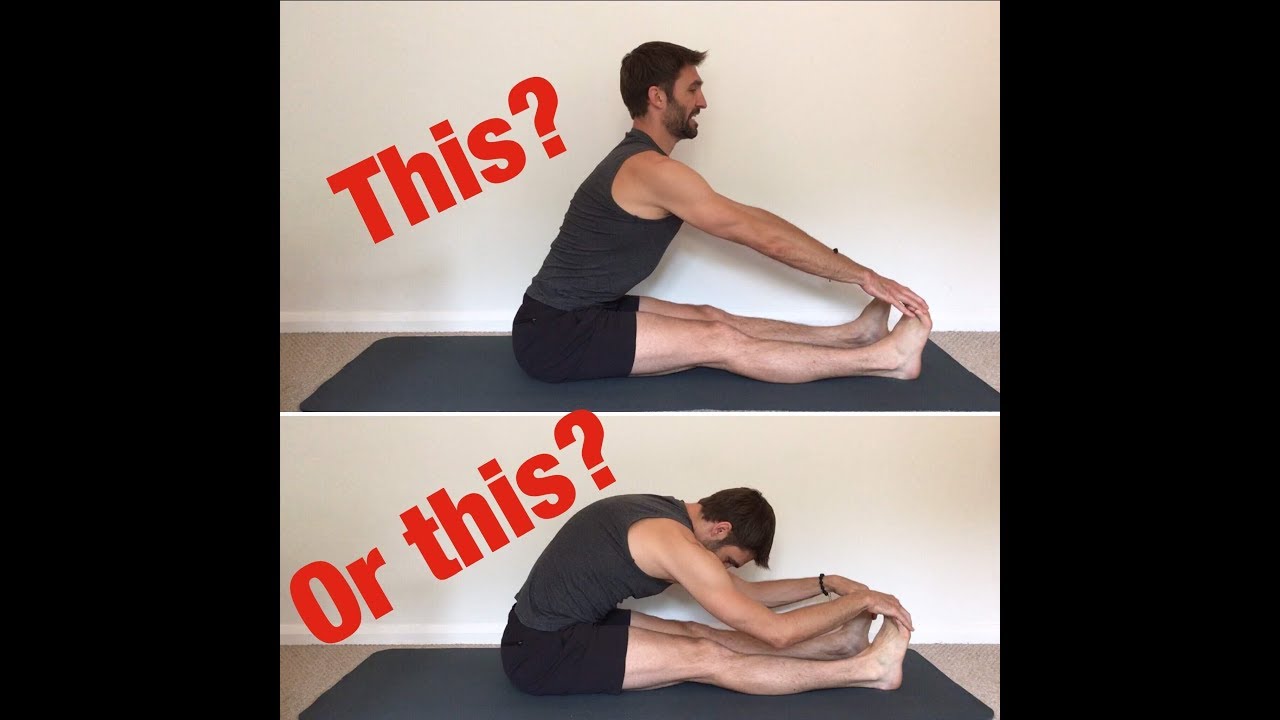 Should the back be rounded in a forward fold? Yoga Anatomy with Matt ...