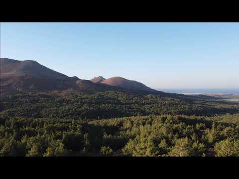 Ormanda drone ile çekim