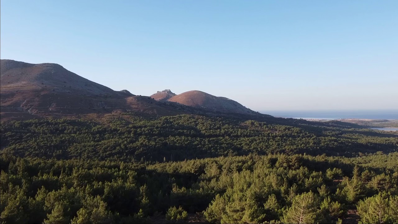 Ormanda drone ile çekim - YouTube