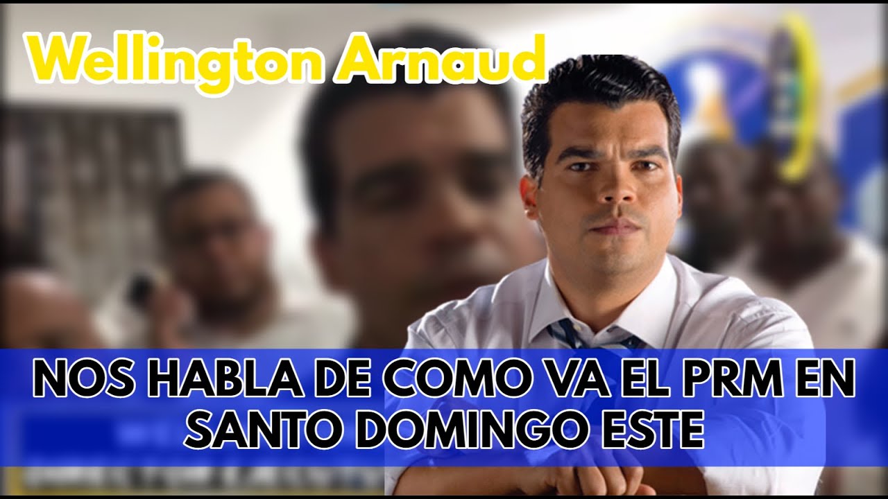 Wellington Arnaud habla de la situación política del PRM en SDE - YouTube