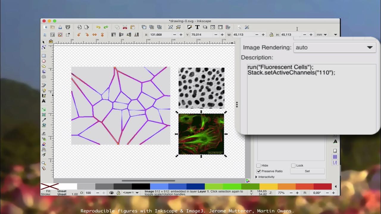 Inkscape ImageJ Figure extensions - YouTube