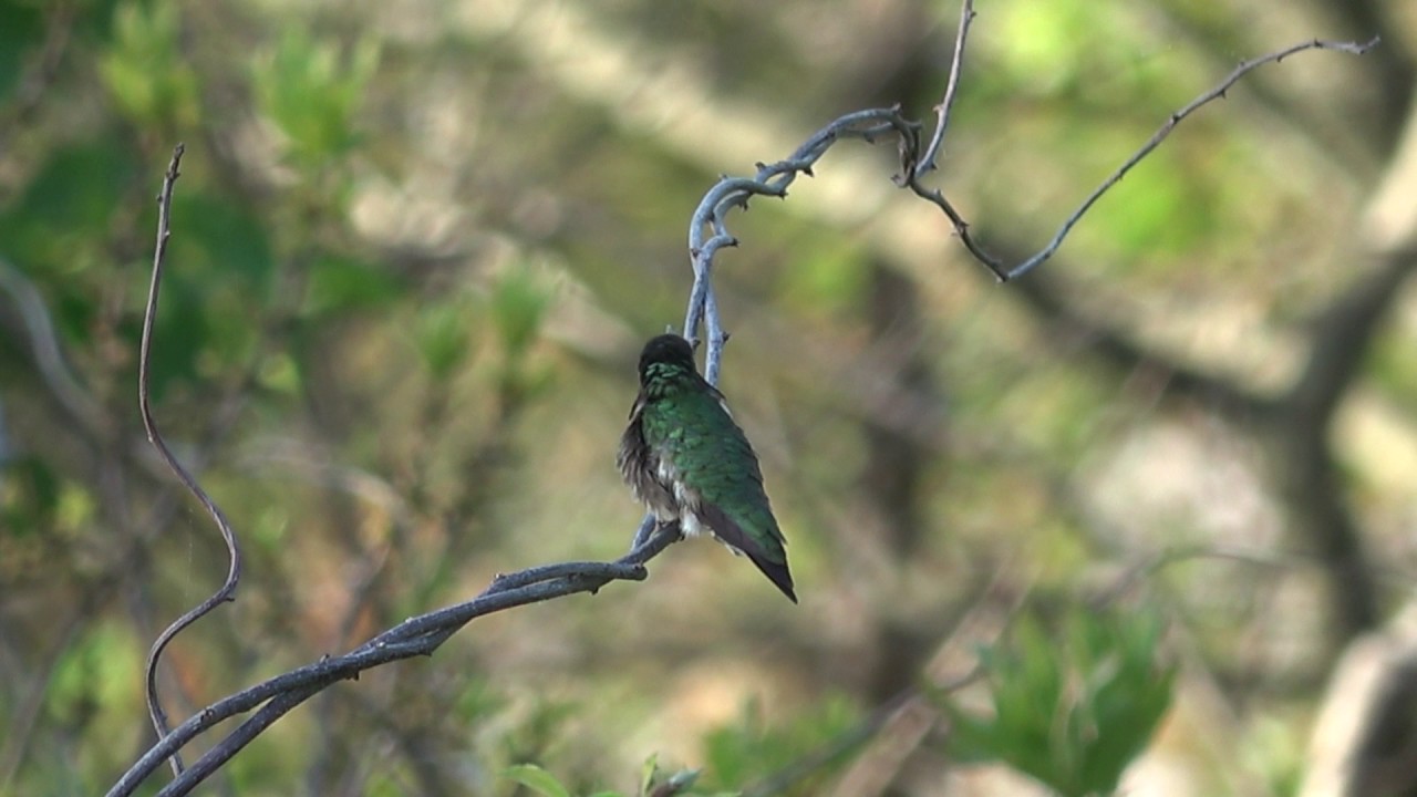 fred poses - YouTube