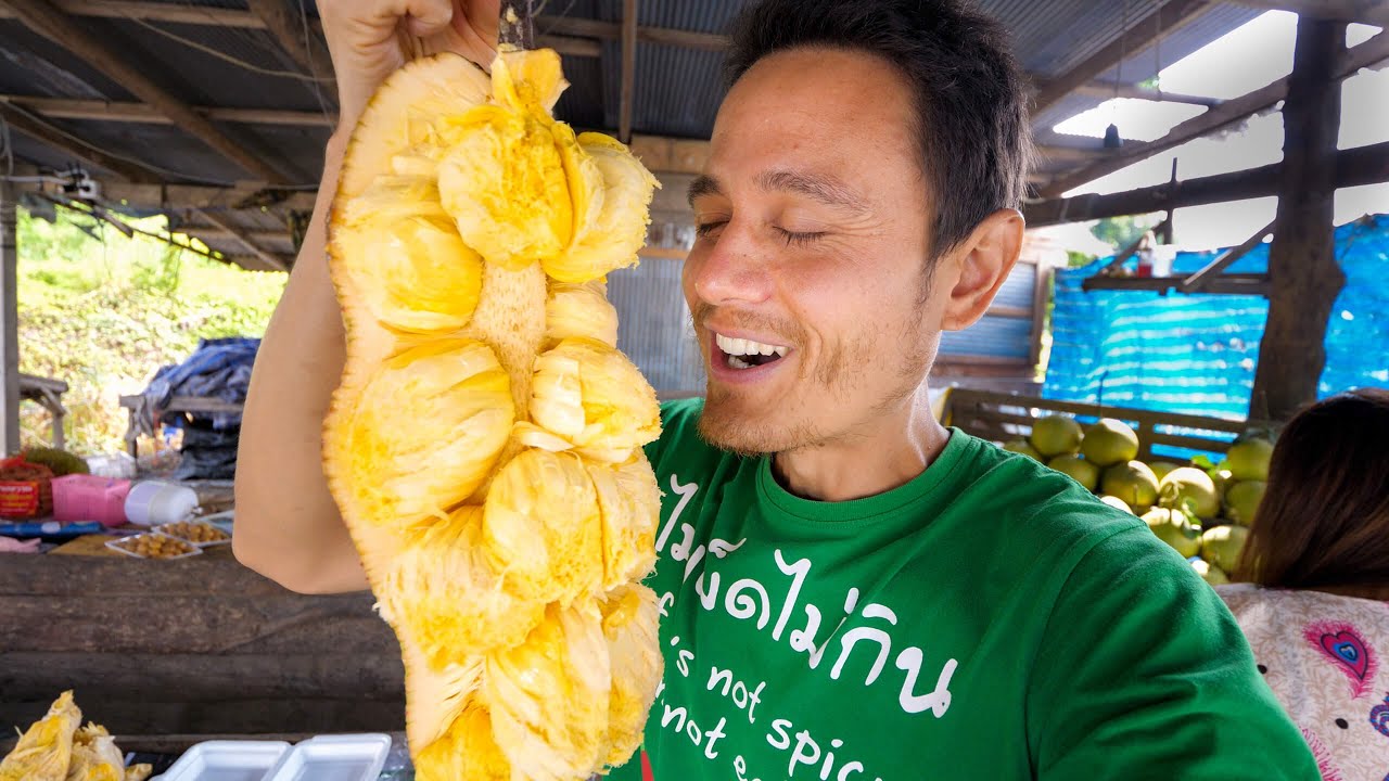 How To Eat CEMPEDAK FRUIT Harvesting And Eating Exotic Asian Fruit how-to-eat-cempedak-fruit-harvesting-and-eating-exotic-asian-fruit