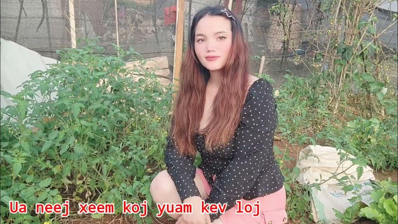 xav tia yuav neej xeem koj tiam si yuam kev loj 30/9/2024 - YouTube