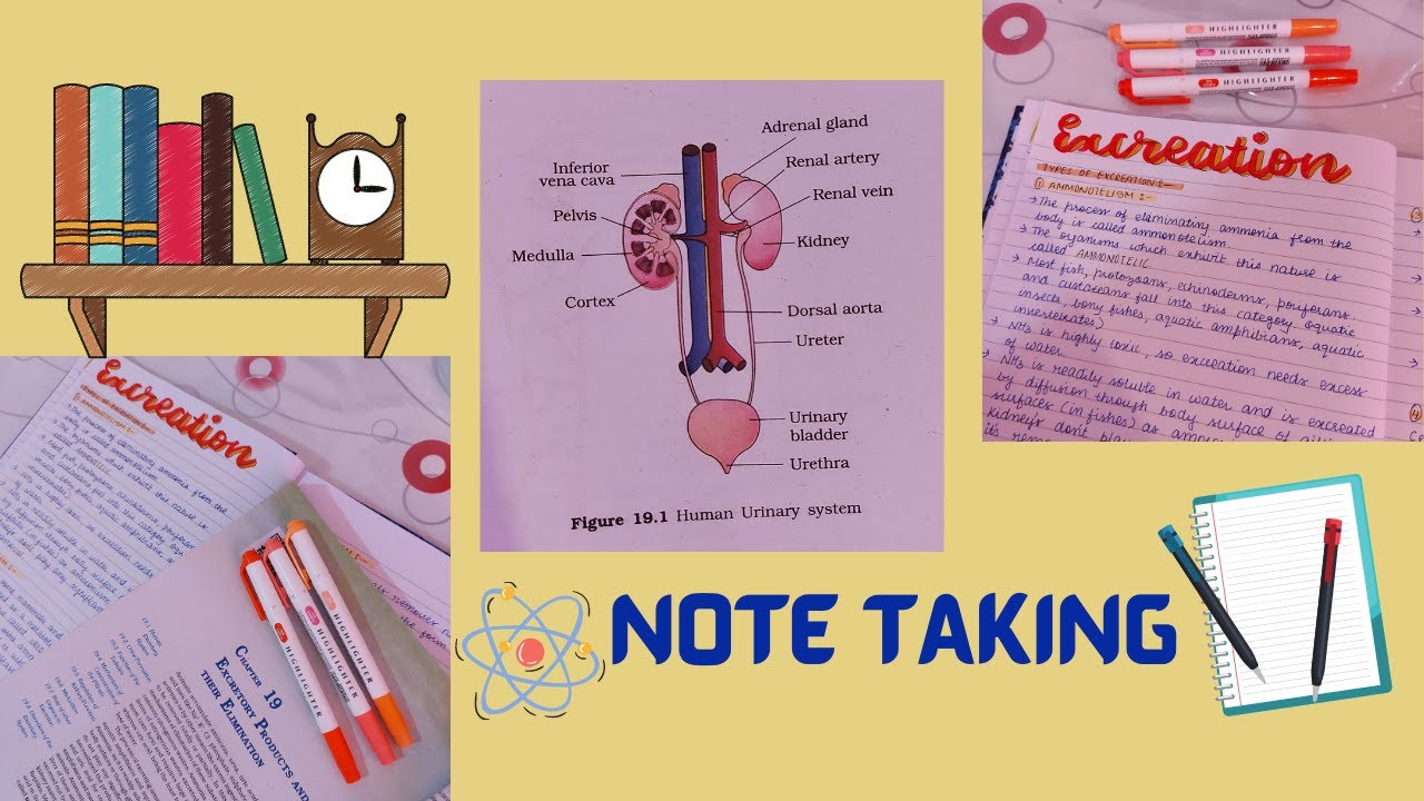 Easy note taking process for studying hard topics | Note taking - YouTube