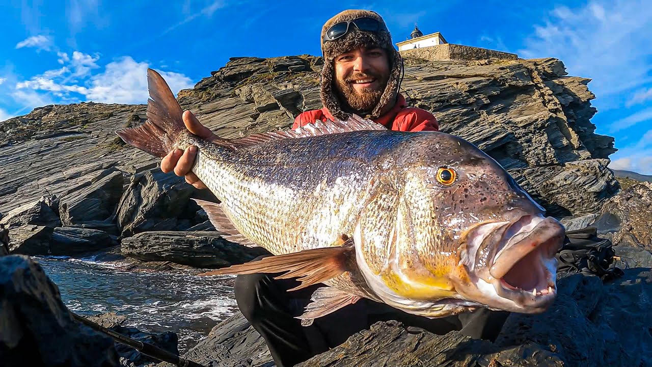 [NANOFISH] Shore Jigging: PALAMIDA and DENTEX XXL. - YouTube