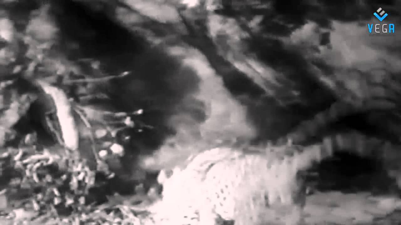 Naga Nandhini - Snake Fights With Panther - YouTube