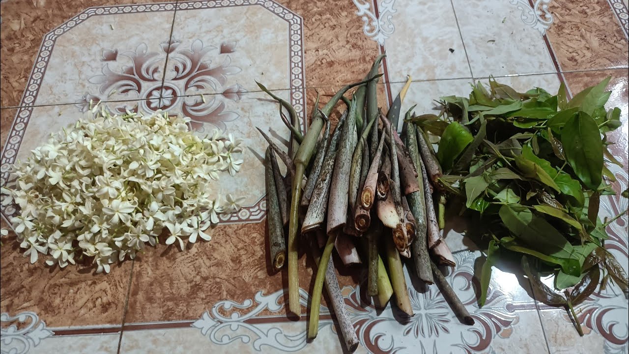 कोकणचा रानमेवा #kokan ranmeva #Part 1 video - YouTube