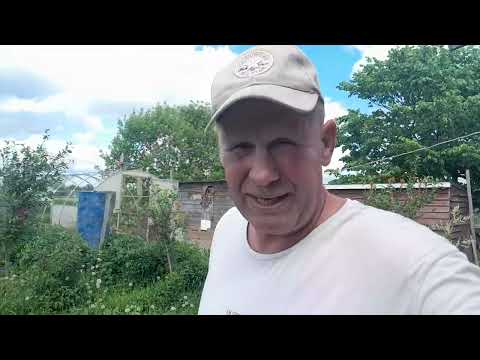 Ура отпуск заканчивается. - YouTube