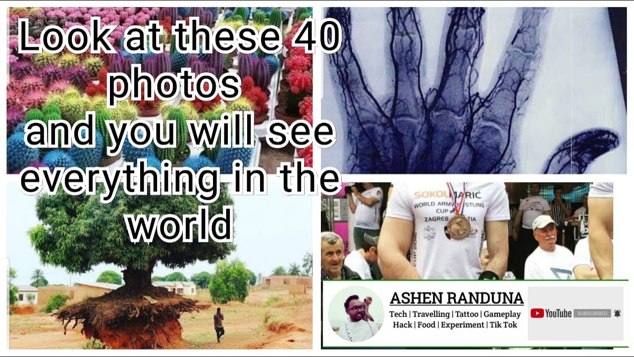Look at these 40 photos and you will see everything in the world. - YouTube