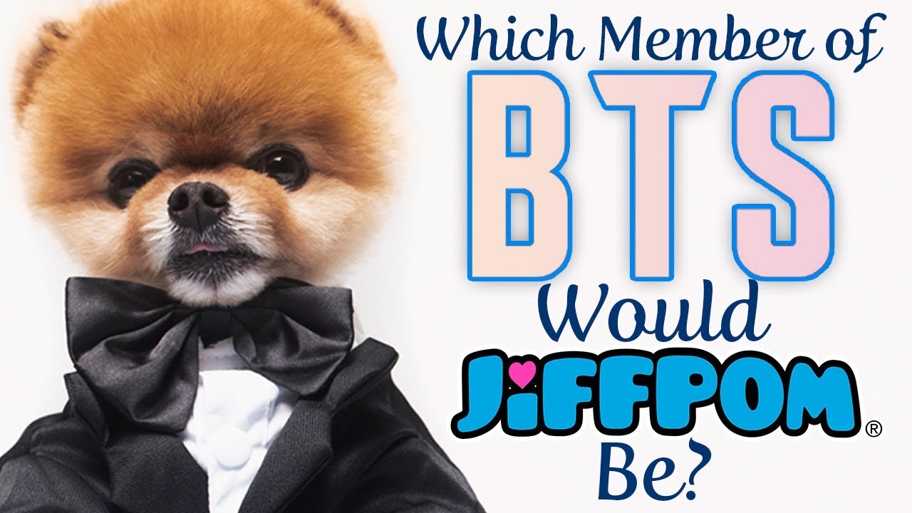 Son Jiffpom Y Boo El Mismo Perro