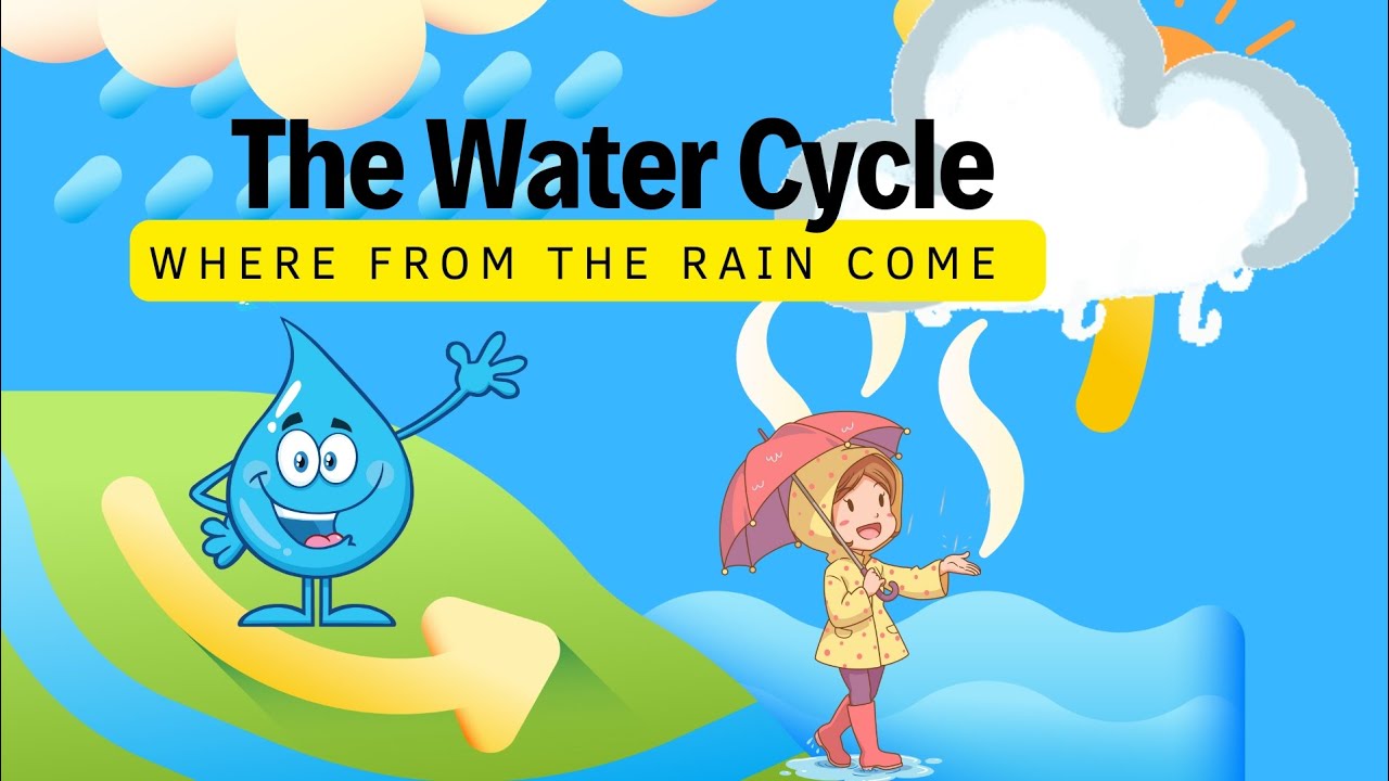 The Water cycle learning for kids|where from the 🌧️ rain come? - YouTube