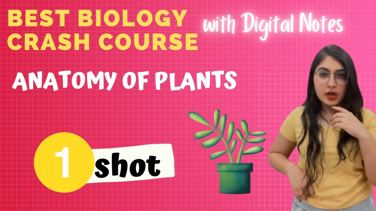 Anatomy of Plants in One Shot |Best Biology Crash Course | Ishita ...